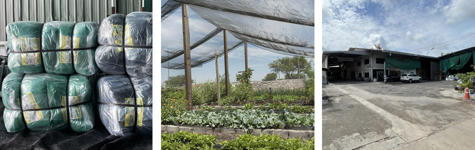 เกี่ยวกับเรา - DD Sub Import Export